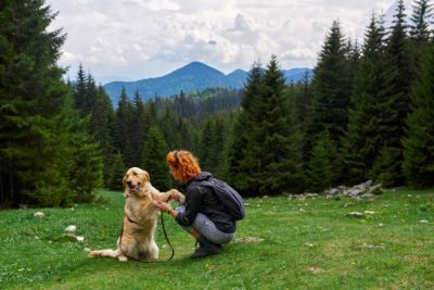 Hiking with Your Dog - The-House